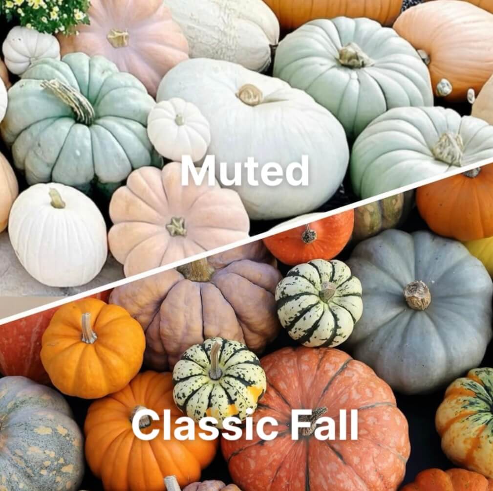 Fall pumpkin displays & delivery | Porch Pumpkin Delivery near me
