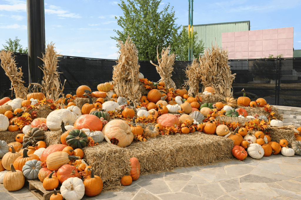Municipalities - Next Level Pumpkin Displays and Delivery